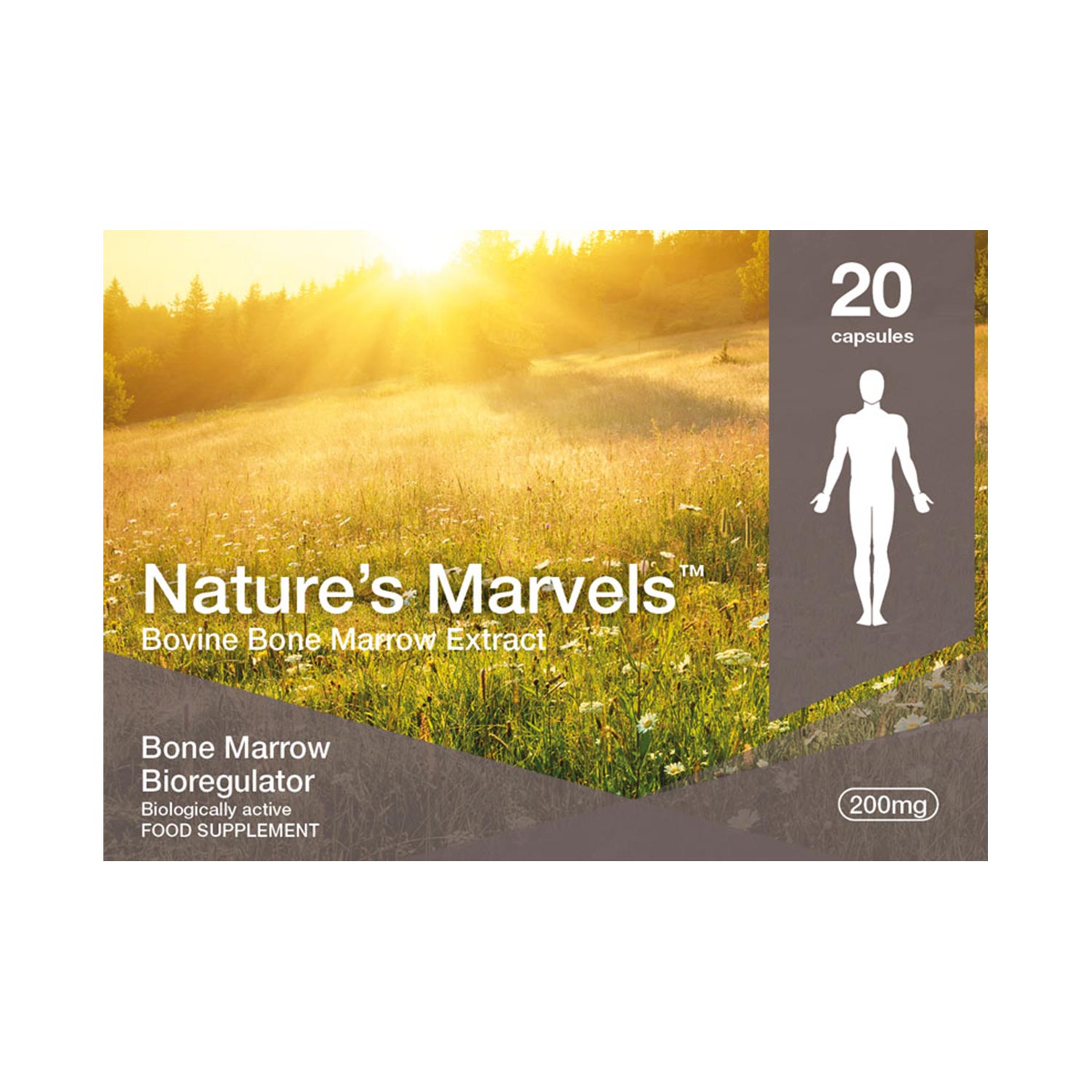 Bone Marrow Nature s Marvels Optimal Health bone-marrow-nature-s-marvels-optimal-health